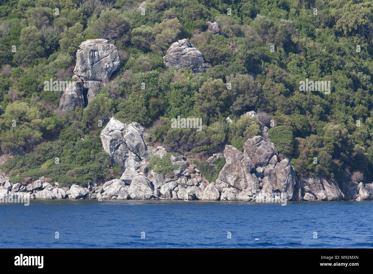 Rocky cliff overgrown with bushes on the Mediterranean Sea near ...