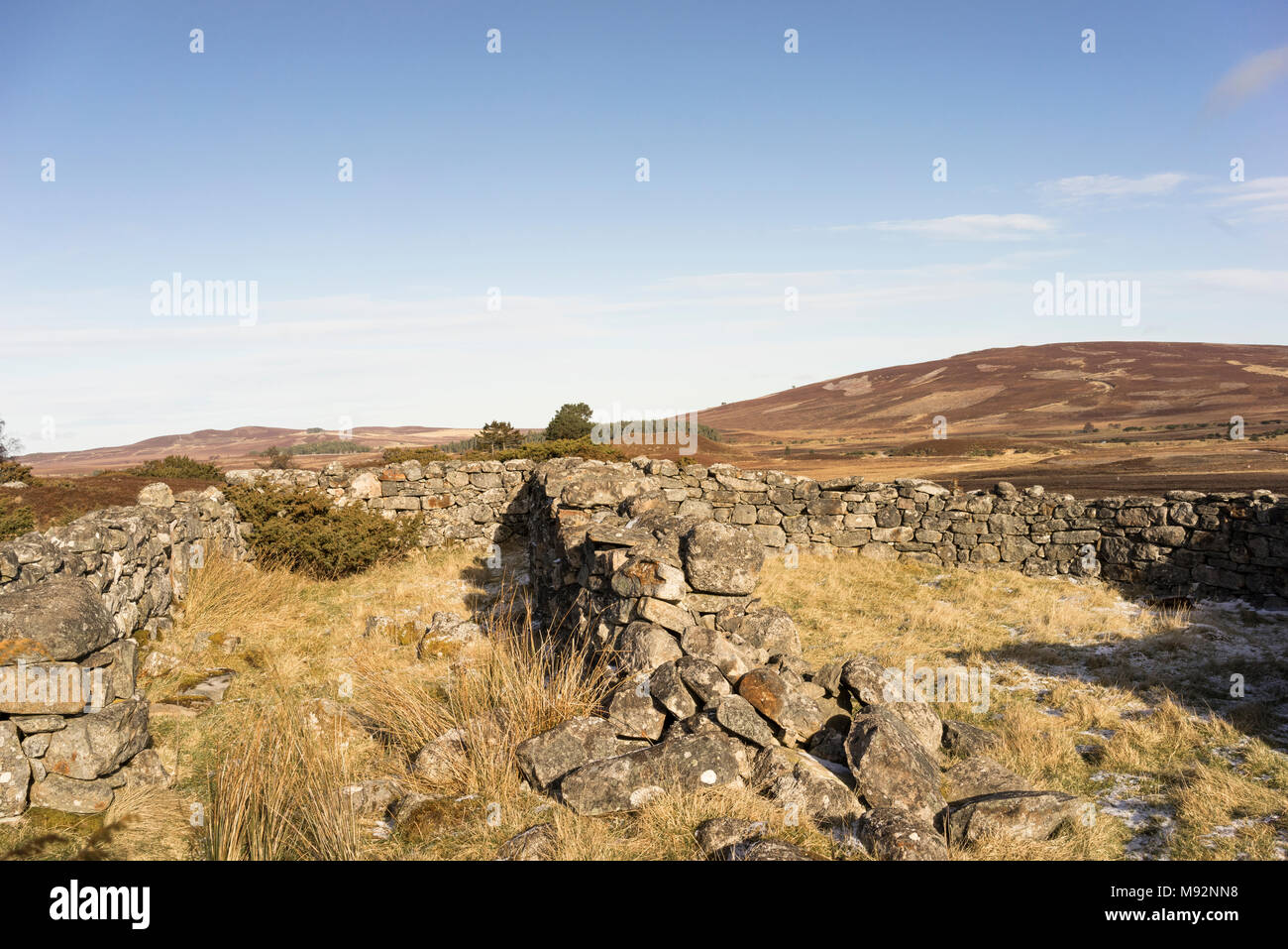 Empty Sheep Pens Stock Photos & Empty Sheep Pens Stock Images - Alamy