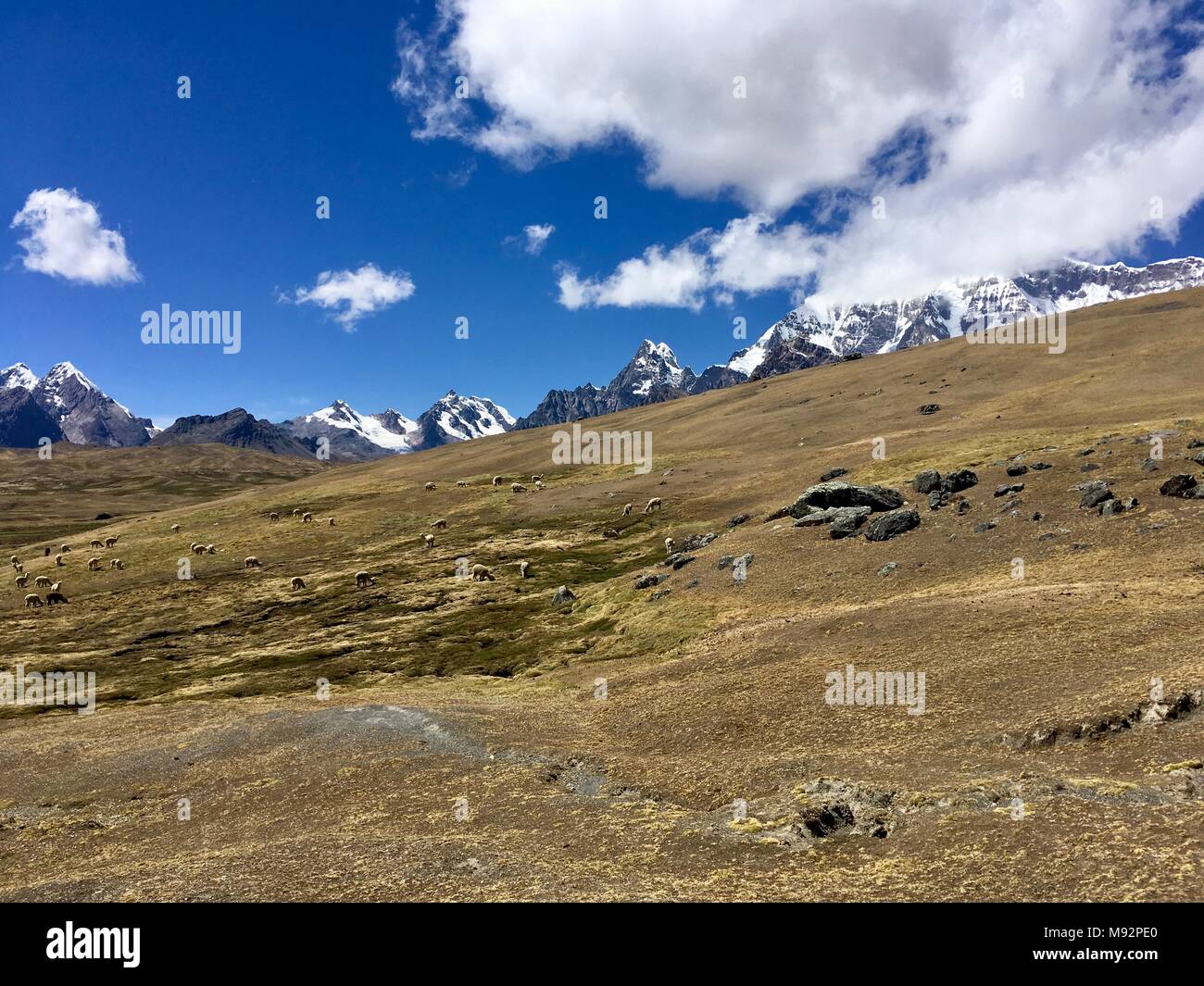Range peru grass hi-res stock photography and images - Alamy