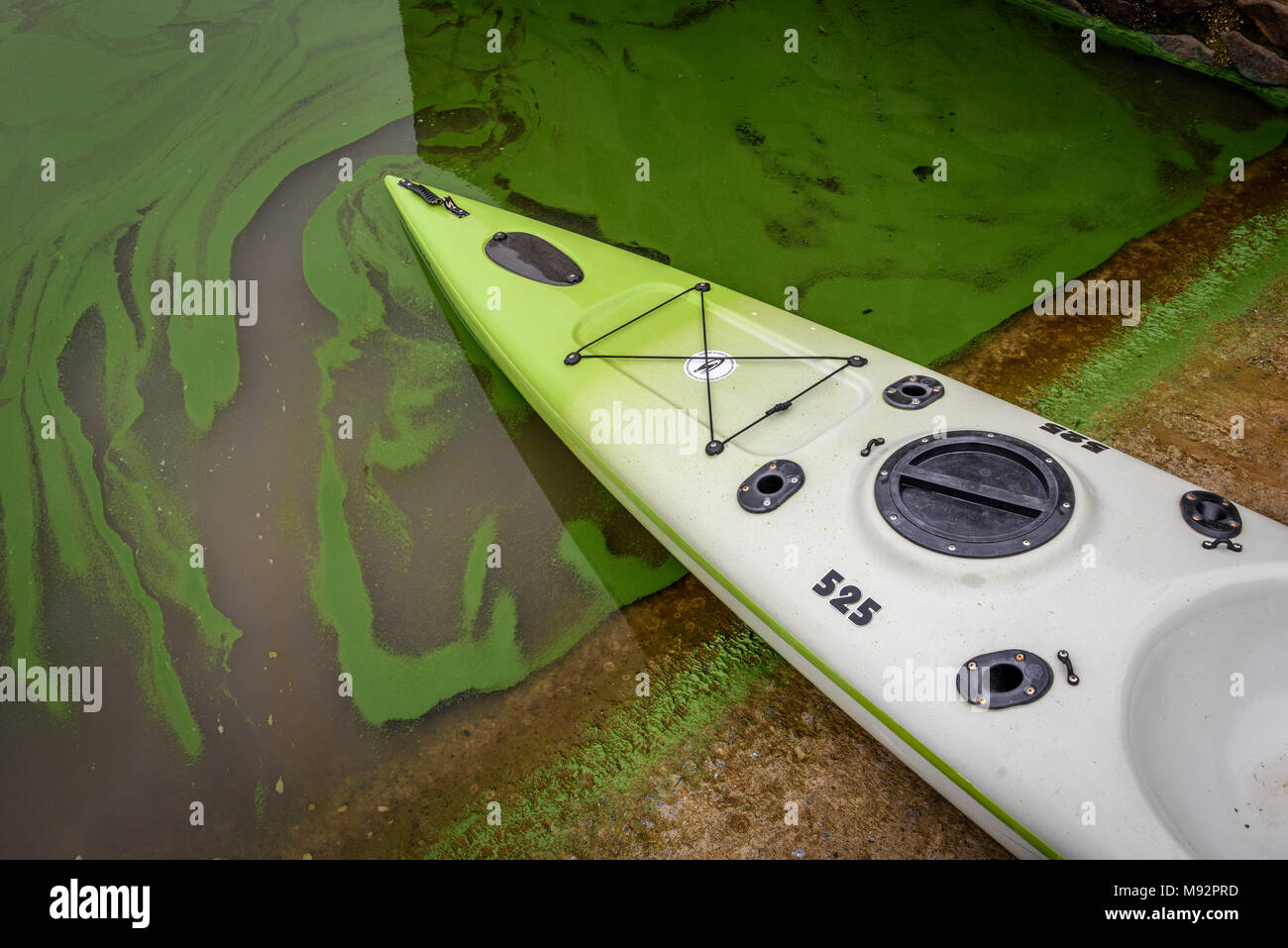 Algae blooms hi-res stock photography and images - Alamy
