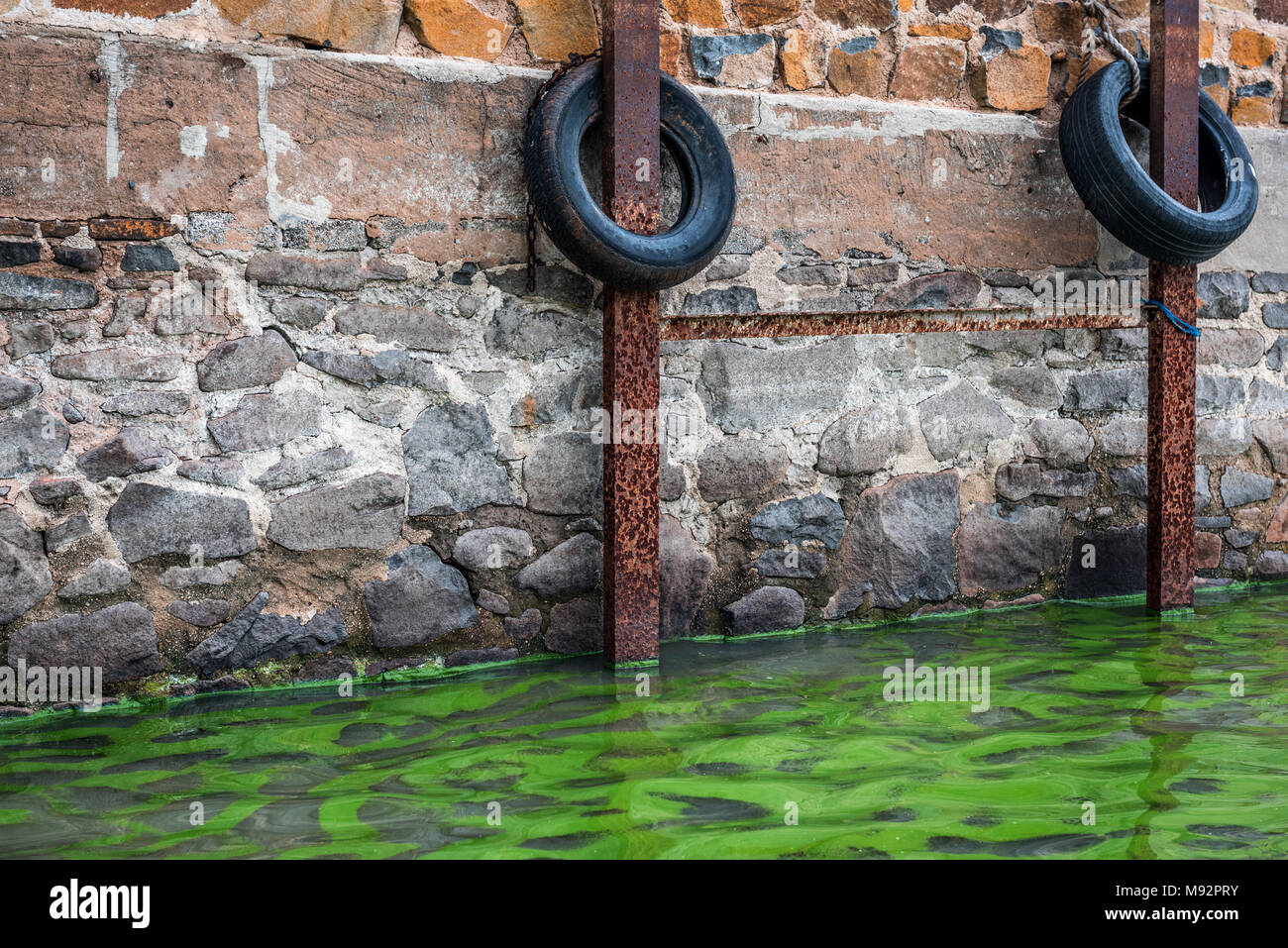 An algal bloom on South Africa's Vaal dam. The algae bloom is caused by ...