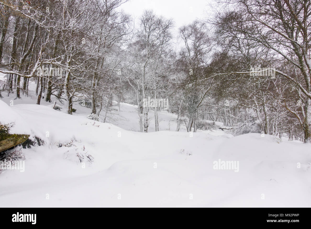 Landscape of Glendalough, Wicklow Mountains in deep snow - Ireland ...