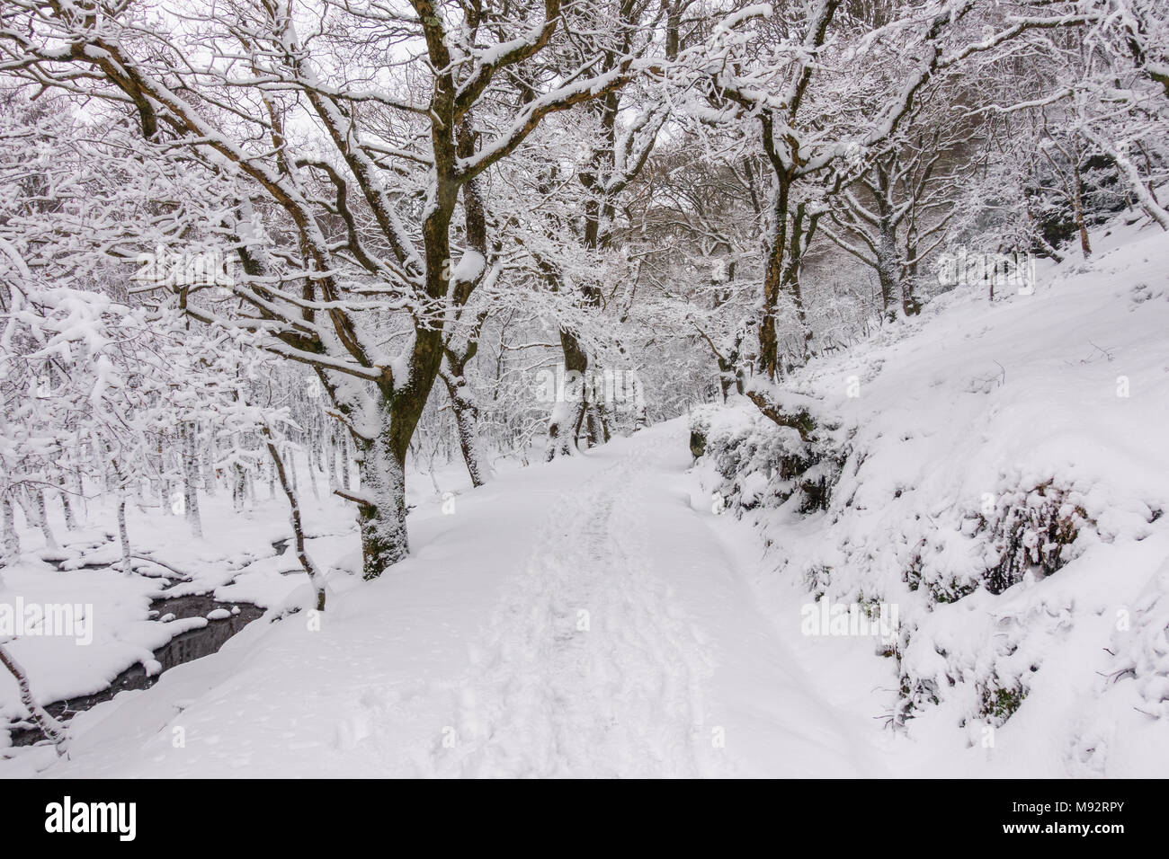 Landscape of Glendalough, Wicklow Mountains in deep snow - Ireland ...