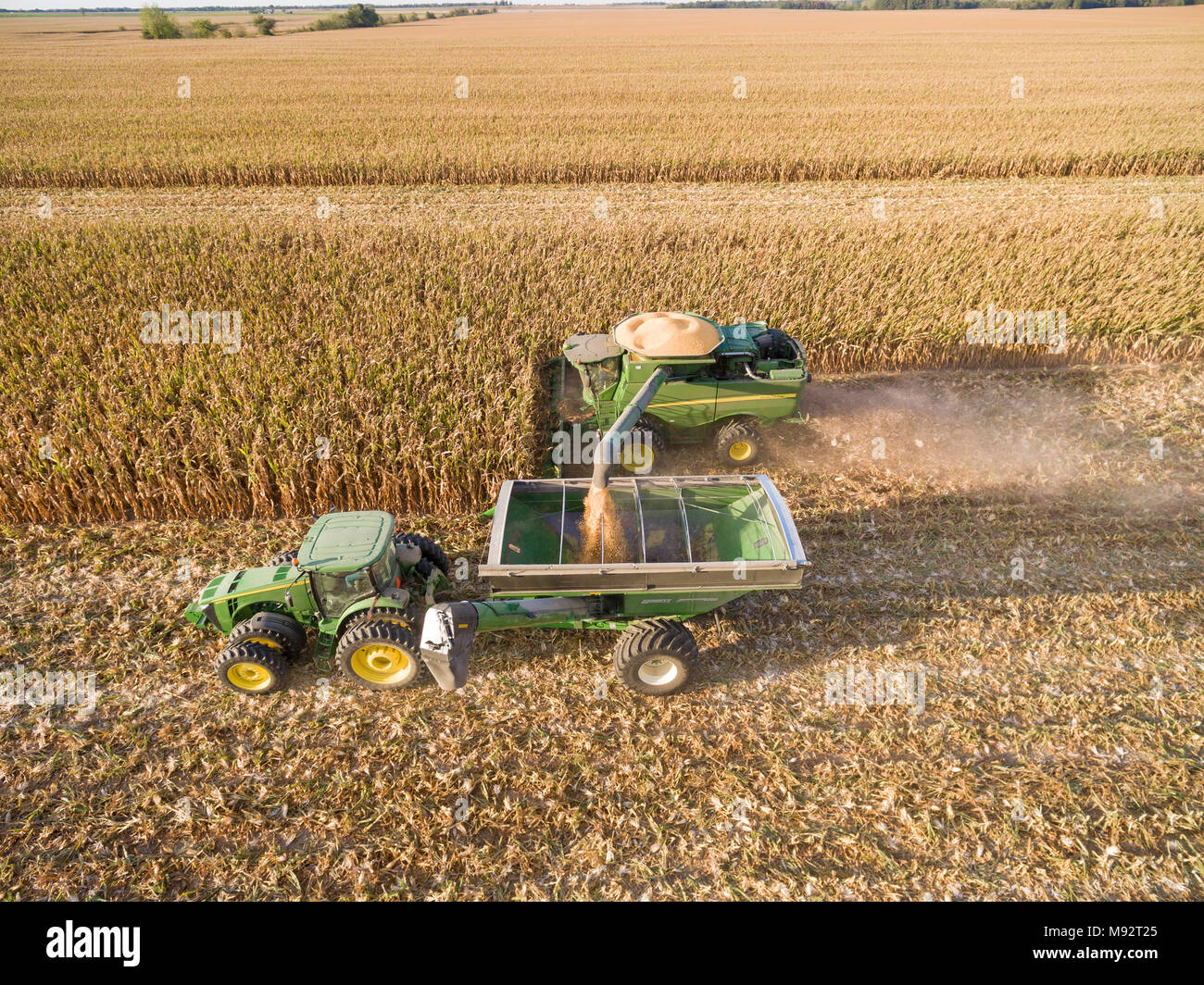 63801-08210 Corn Harvest, John Deere combine unloading corn into grain ...