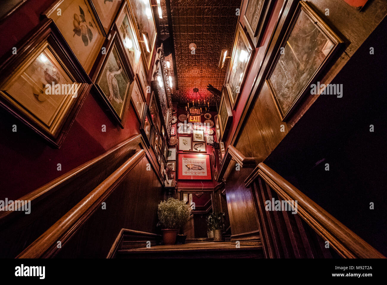 Spotted pig restaurant hi-res stock photography and images - Alamy