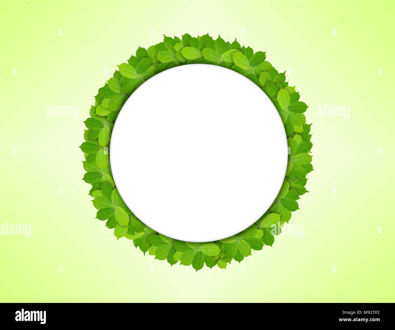Bio circle logo hi-res stock photography and images - Alamy