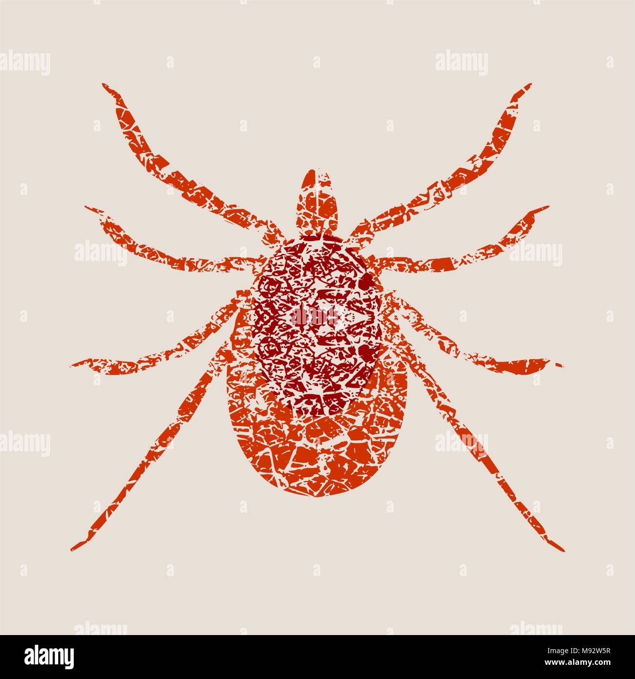 Acarine Stock Vector Images - Alamy