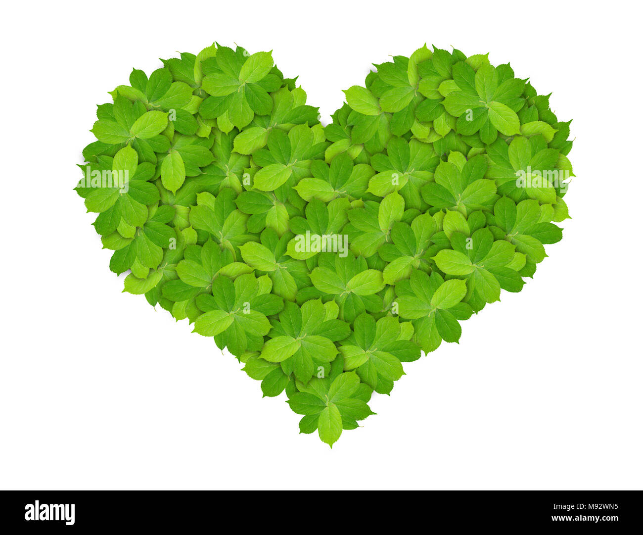 Green heart made of green leaves, symbol of love Stock Photo - Alamy