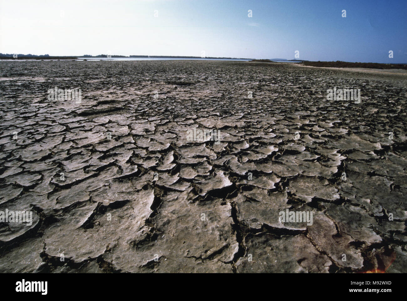 Dryspell hi-res stock photography and images - Alamy