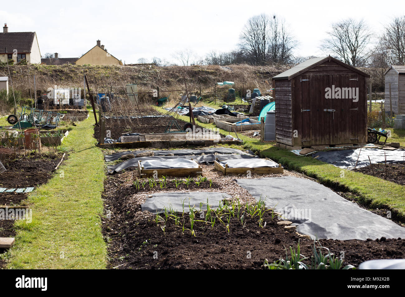 English allotment at the end of winter Stock Photo - Alamy