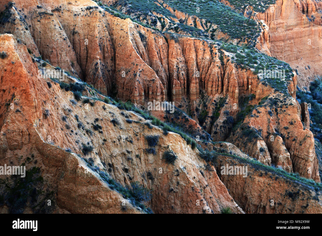 Barrenness Stock Photos & Barrenness Stock Images - Alamy