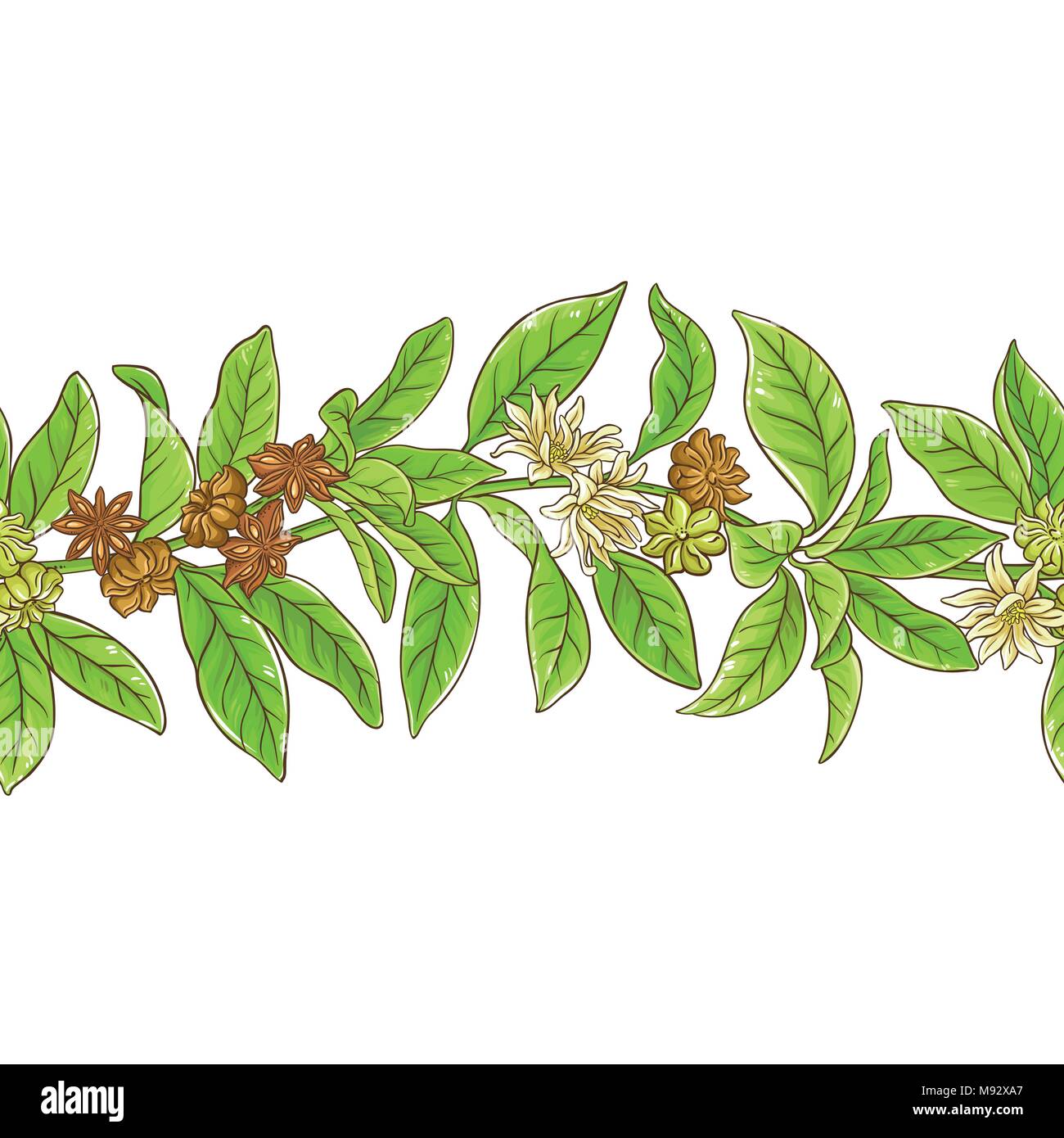 anise branches vector pattern on white background Stock Vector Image ...