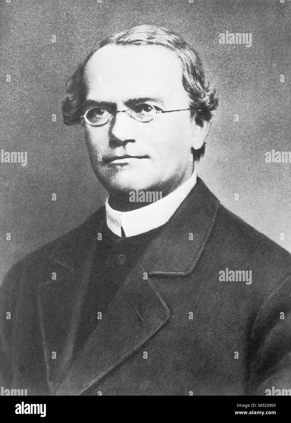 Gregor mendel hi-res stock photography and images - Alamy