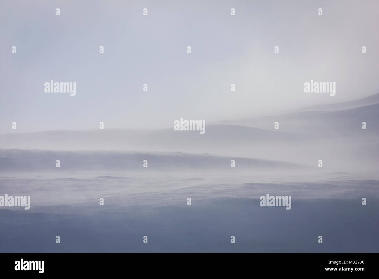 Mountainside in strong wind, snowstorm. Its whiteout in a blizzard ...