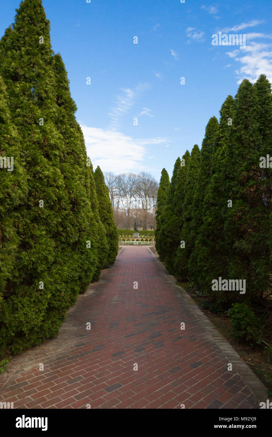Pathway along the trees with cobble stones Stock Photo - Alamy
