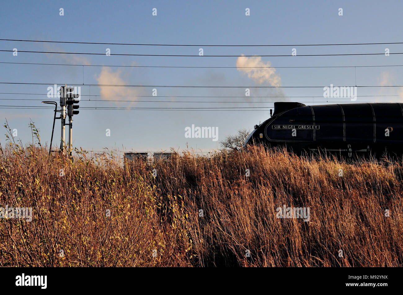 Overhead railroad signals hi-res stock photography and images - Alamy