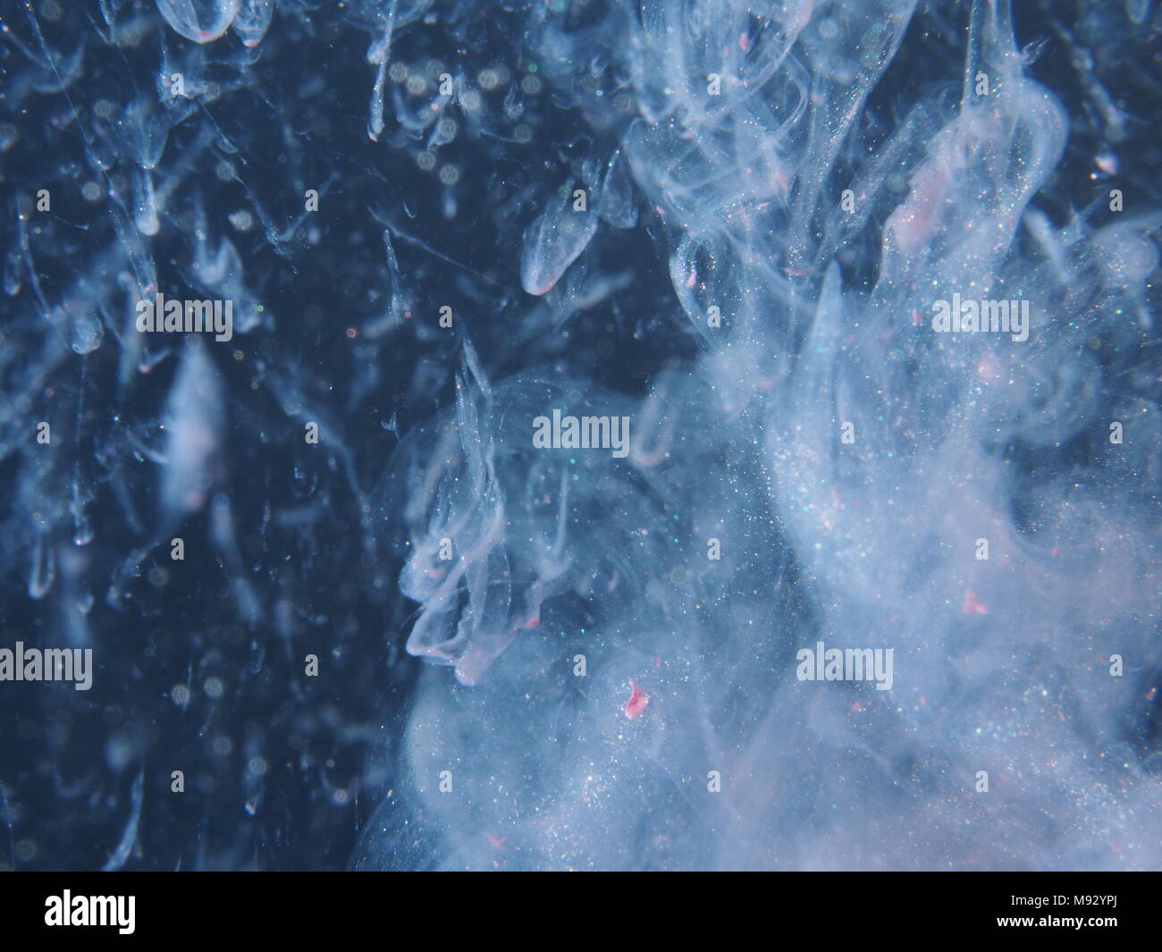 Diffusion of purple dye in water hi-res stock photography and images ...