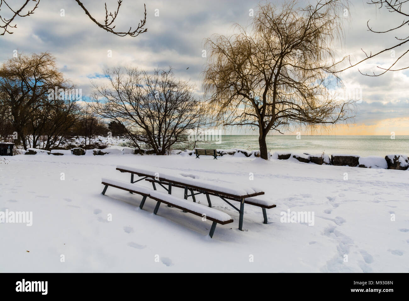 Blizzard beach water park hi-res stock photography and images - Alamy