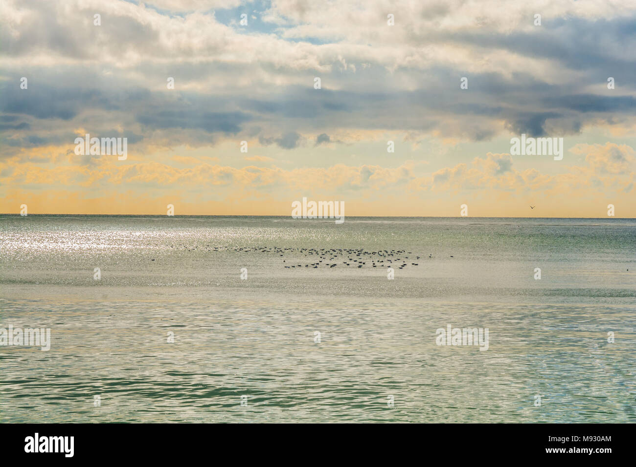 Winter Landscape Scene showing white snow along icy water lake coastal ...