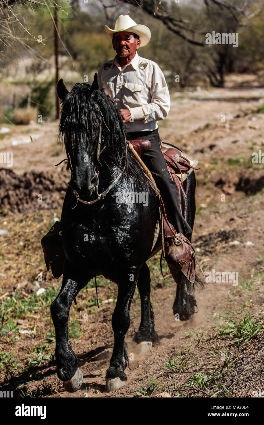 Vaquero y su caballo hi-res stock photography and images - Alamy