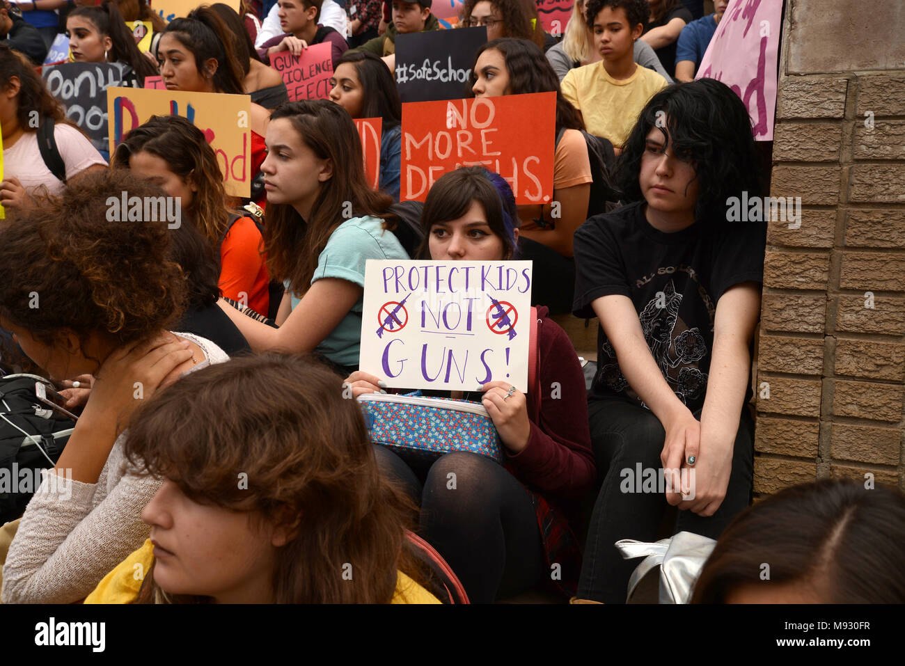 Guns on day out shooting hi-res stock photography and images - Alamy