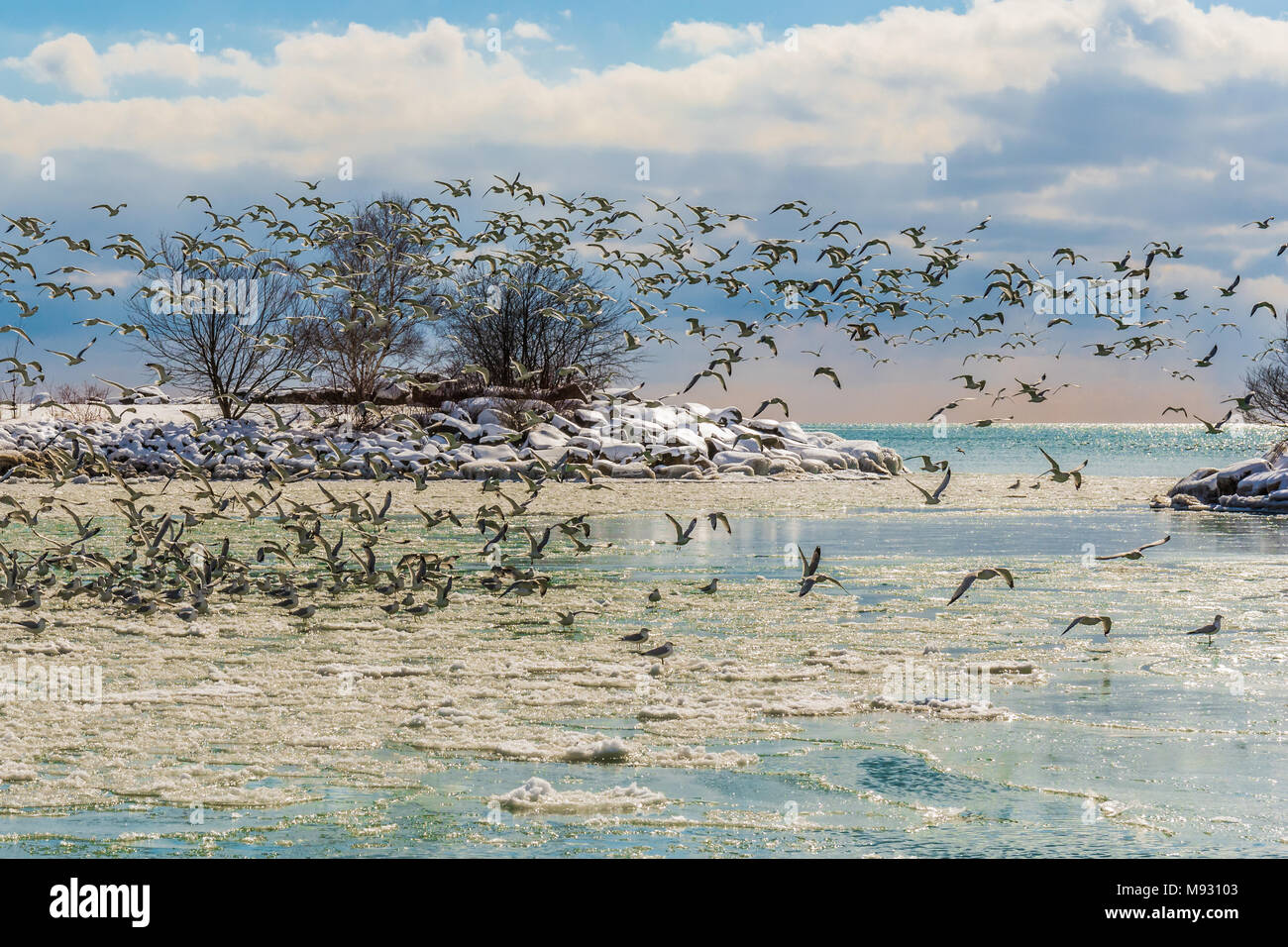 Birdie lagoon hi-res stock photography and images - Alamy