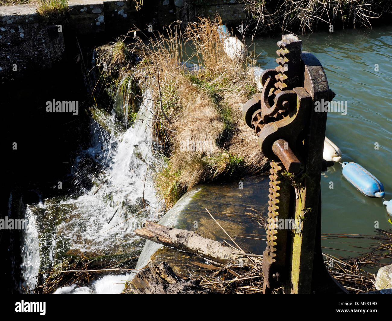 The upper reaches of the North Walsham and Dilham Canal at Ebridge ...
