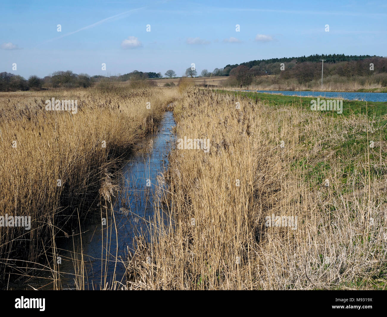 The upper reaches of the North Walsham and Dilham Canal at Ebridge ...