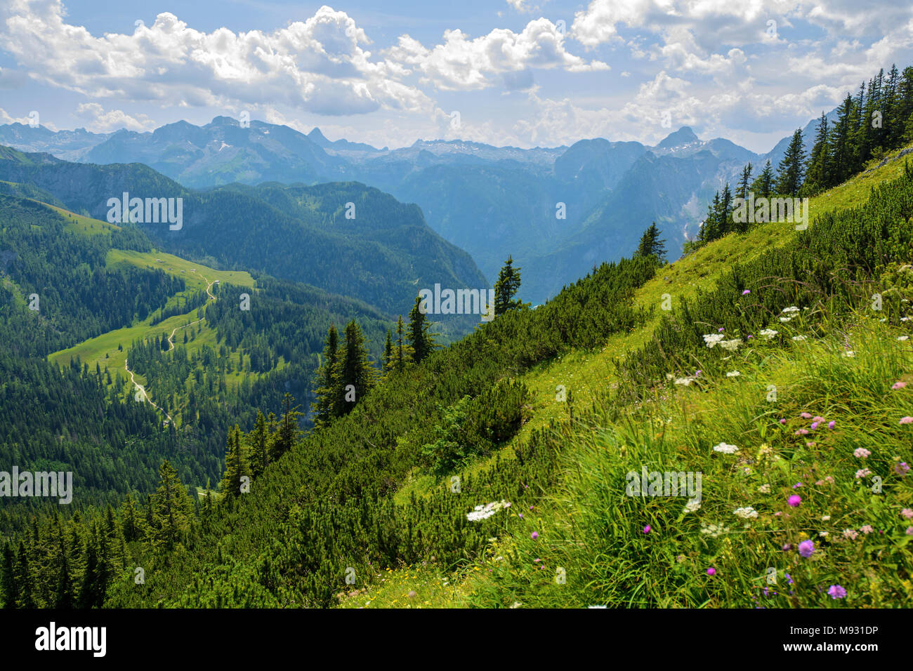 Alpine scenery with green mountain slope Stock Photo - Alamy