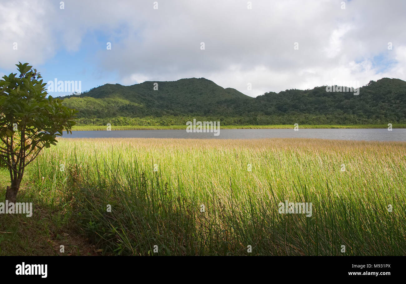 Grenada island - Grand Etang National Park - Grand Etang Lake Stock ...