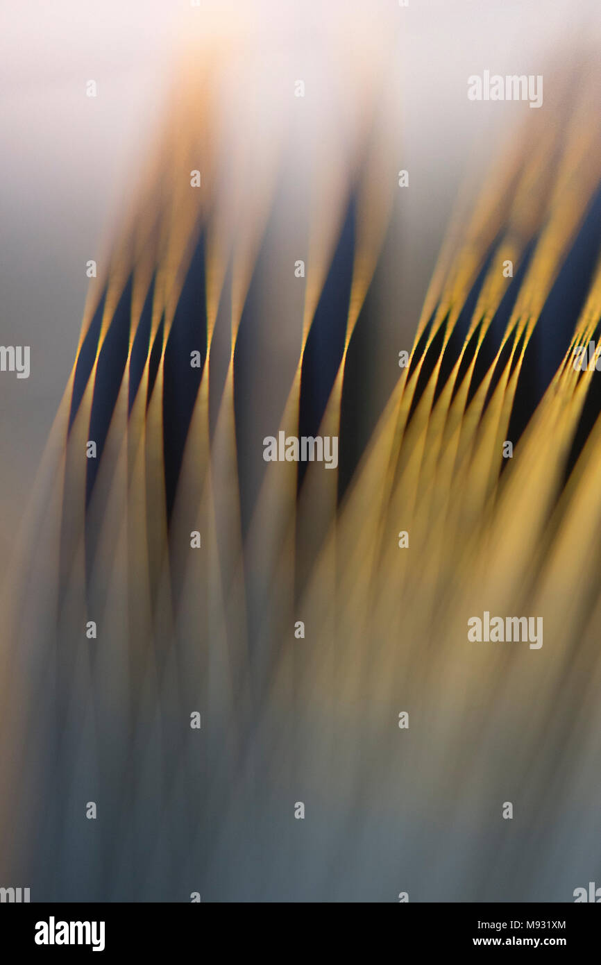 Pages texture hi-res stock photography and images - Alamy