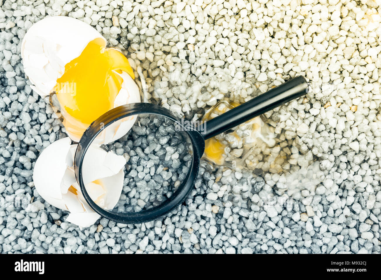 Magnifying glass shell hi-res stock photography and images - Alamy