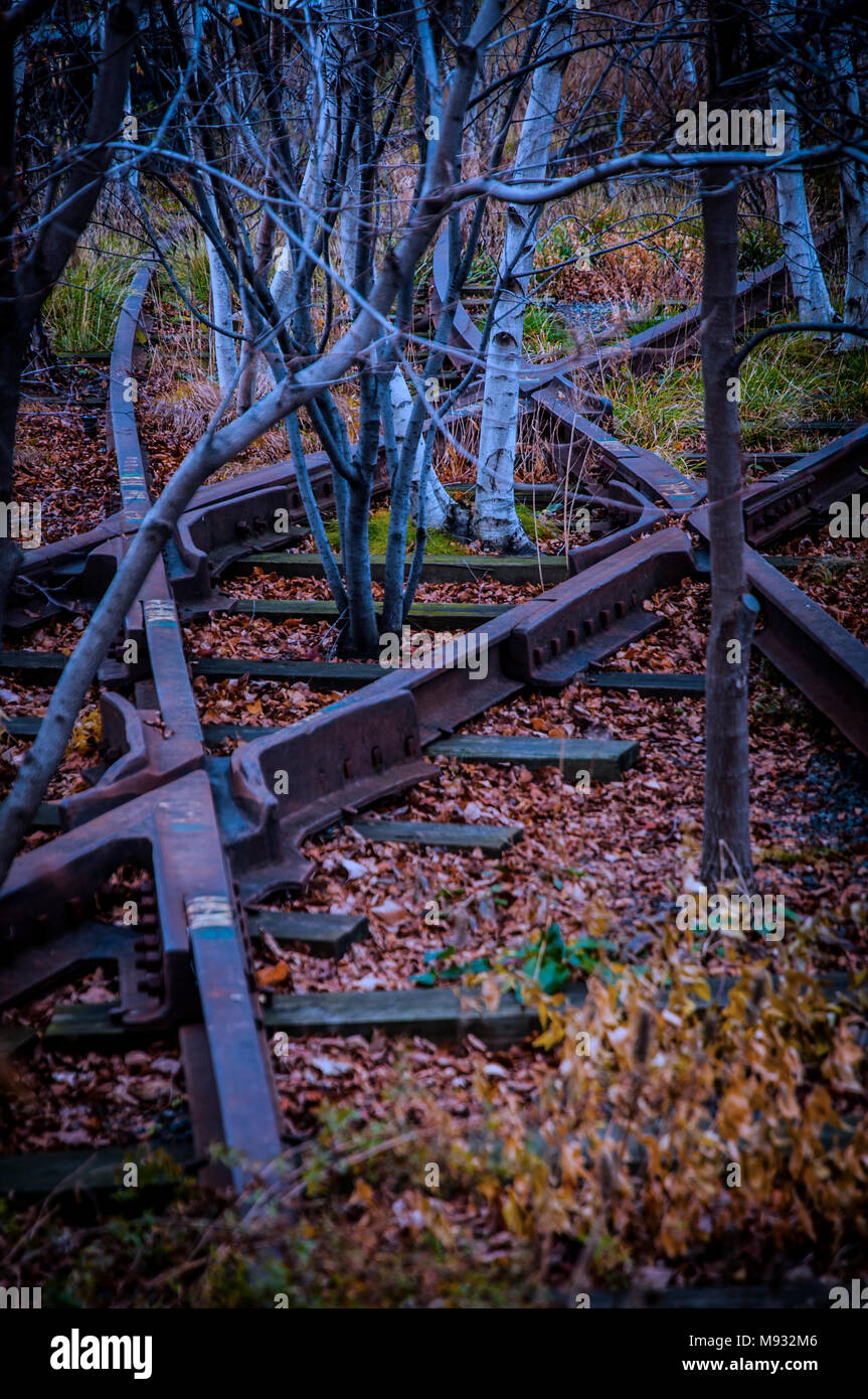 Railroad tracks trees hi-res stock photography and images - Alamy