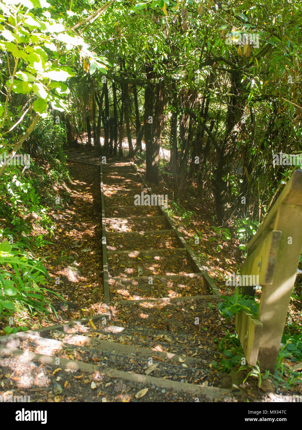 Bush Walk Track Stock Photo - Alamy