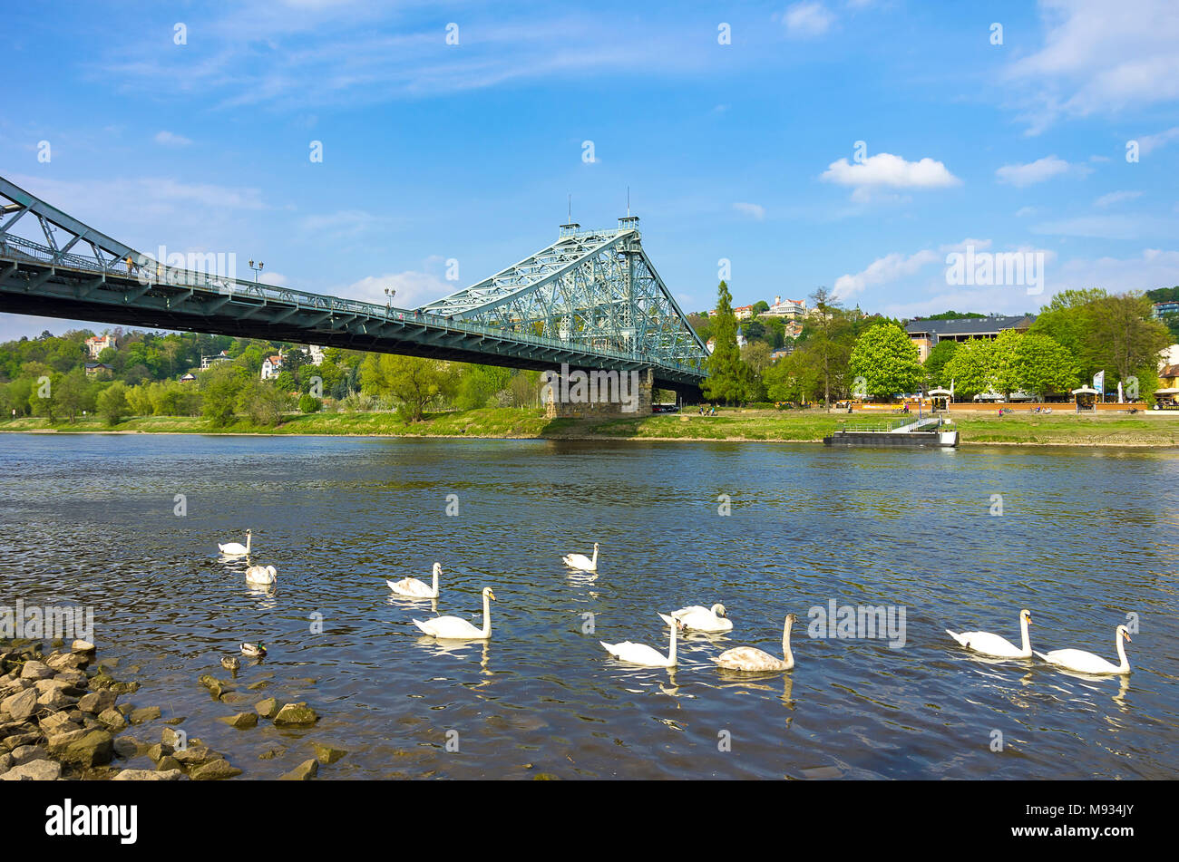 The Blue Wonder Bridge seen from the district of Blasewitz and with ...