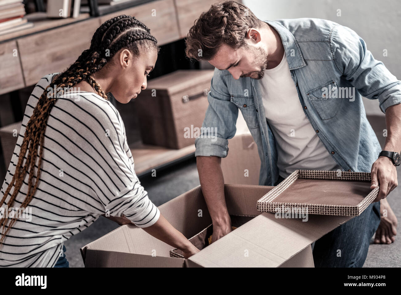 Nice young couple focusing on their task Stock Photo - Alamy