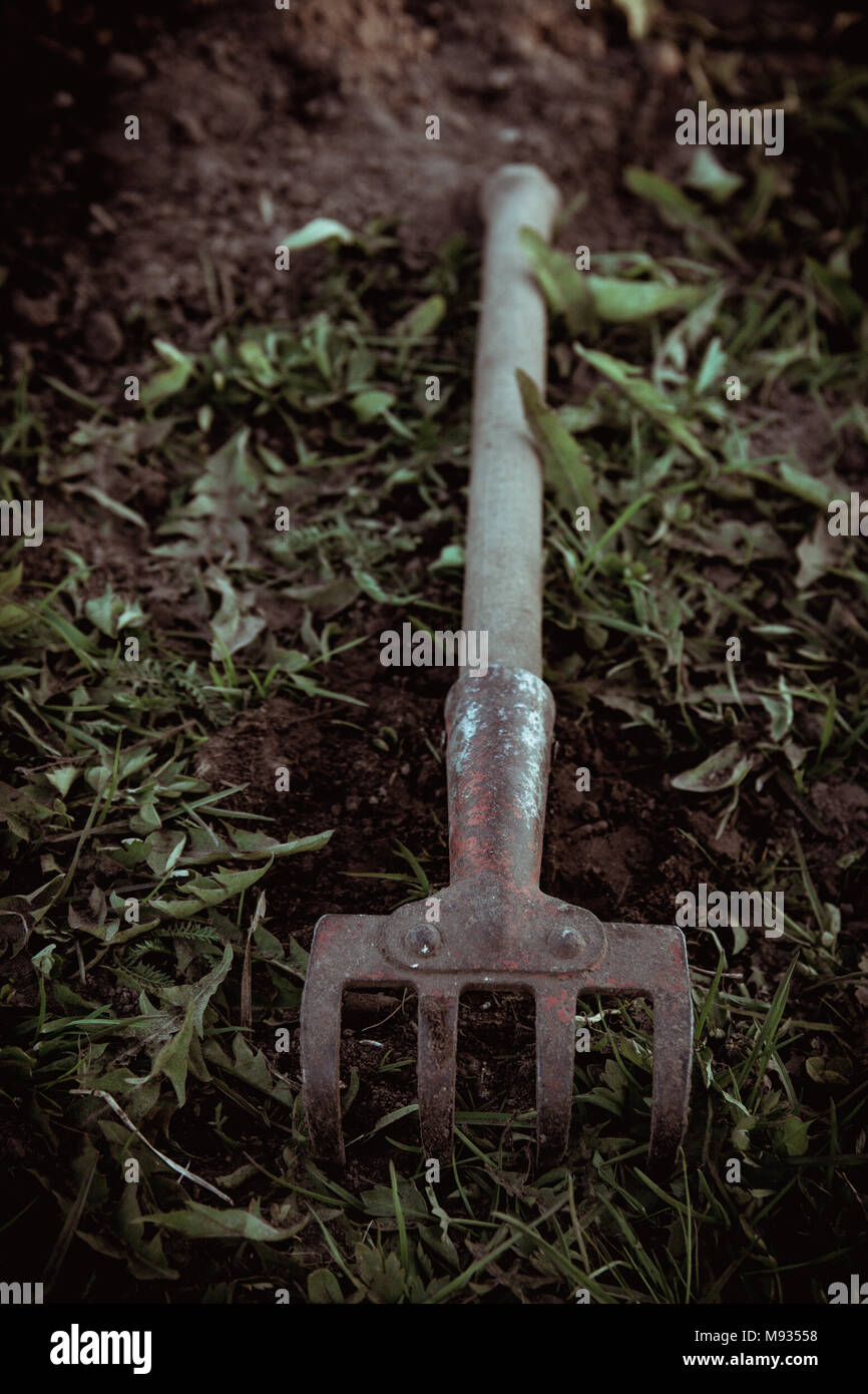 Old weeding tool or rake abandoned lying in green grass. Vintage feel ...