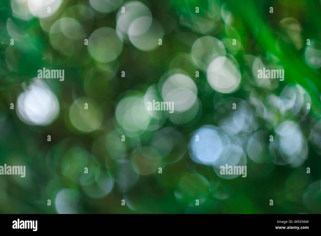 Abstract natural green blurred background Stock Photo - Alamy