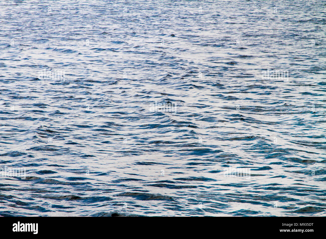 image of the water surface of the river with waves and sunlight ...