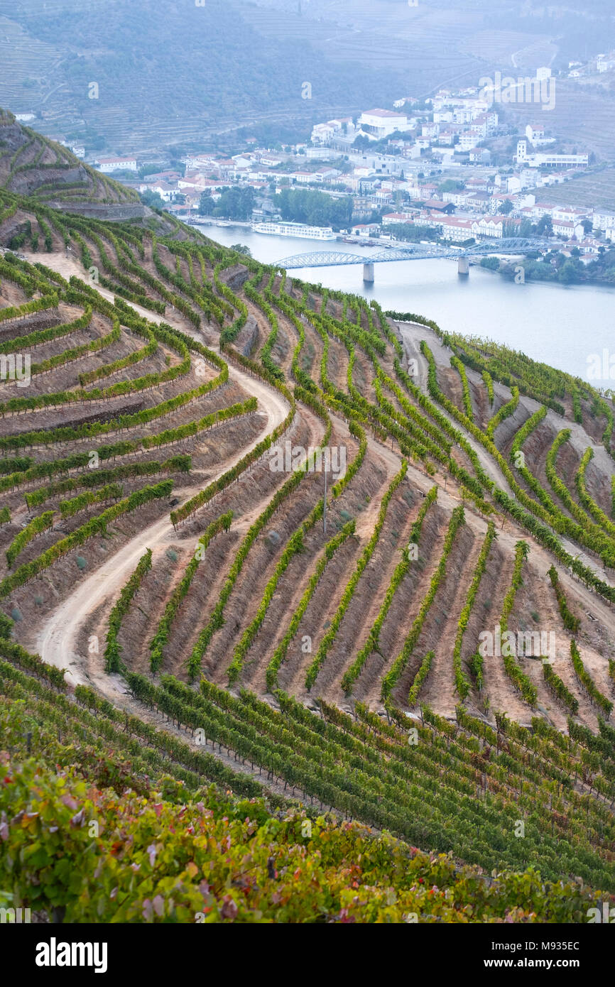 Landscape in the Douro River, Alto Douro Wine Valley Stock Photo - Alamy