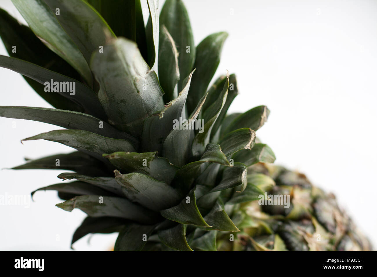 The pineapple structure hi-res stock photography and images - Alamy