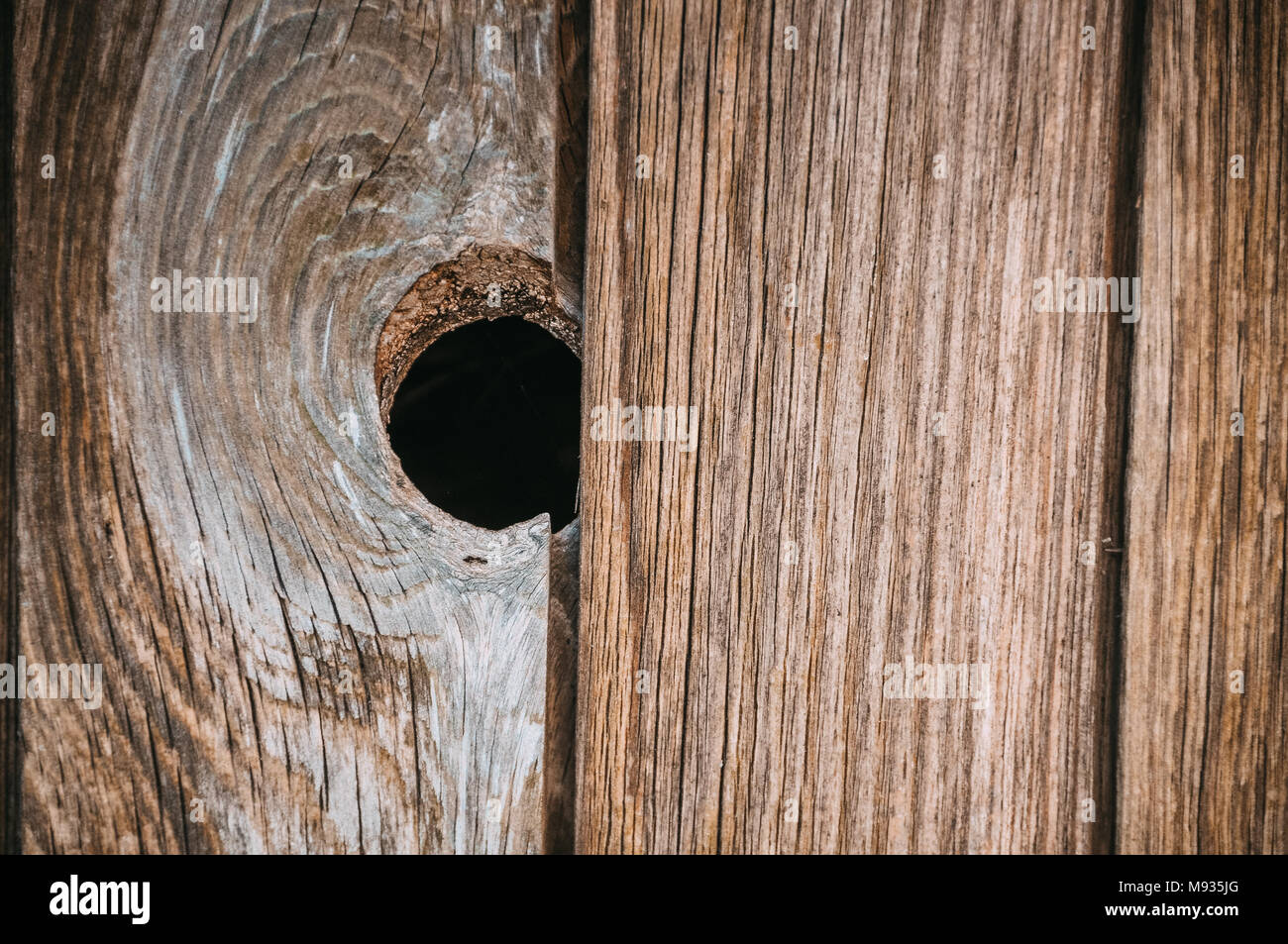 Single dark wood knot in in the wooden textured plank of old aged ...