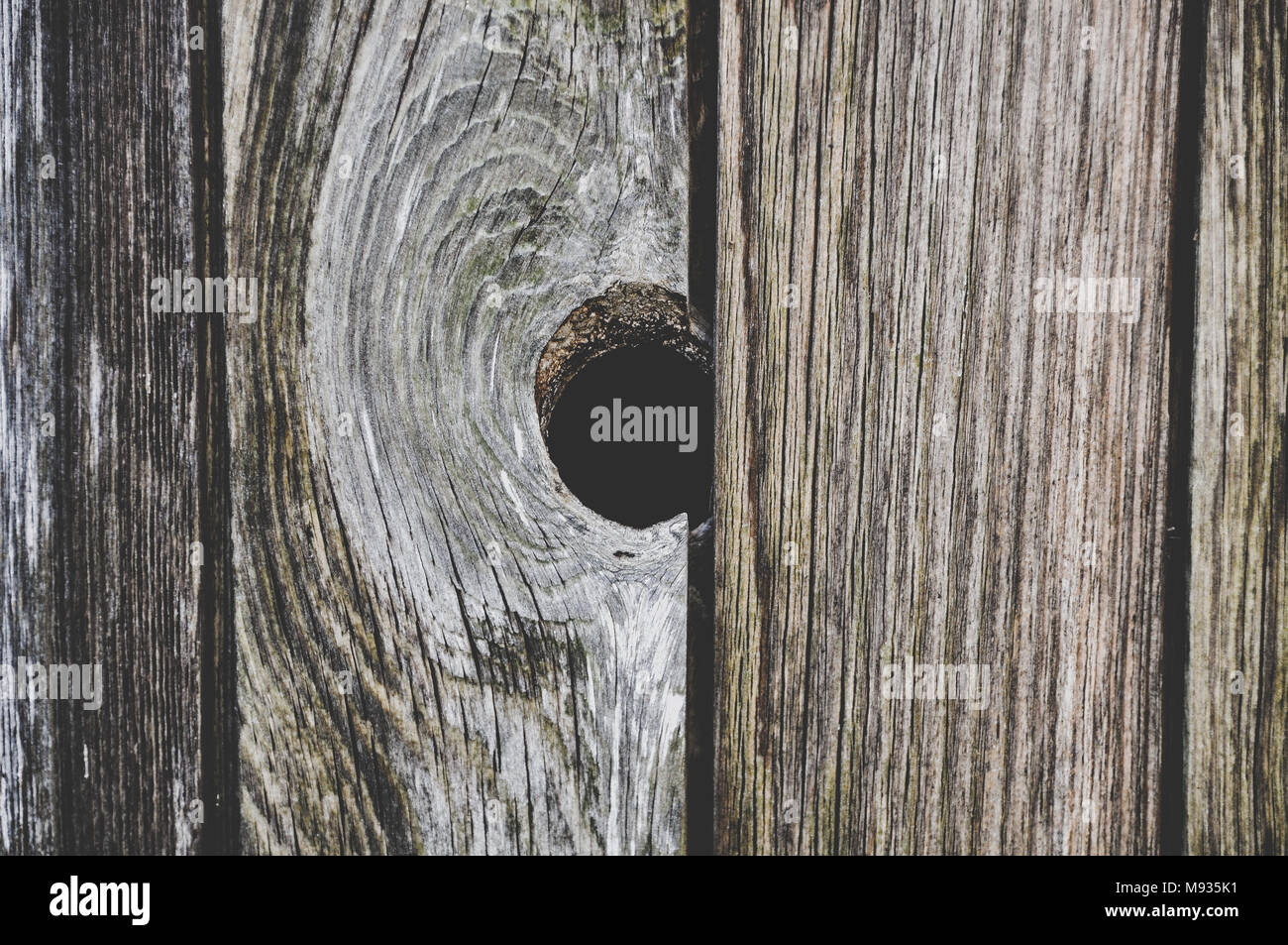 Single dark wood knot in in the wooden textured plank of old aged ...