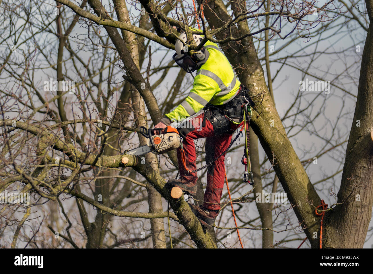 Pruning Equipment High Resolution Stock Photography and Images - Alamy