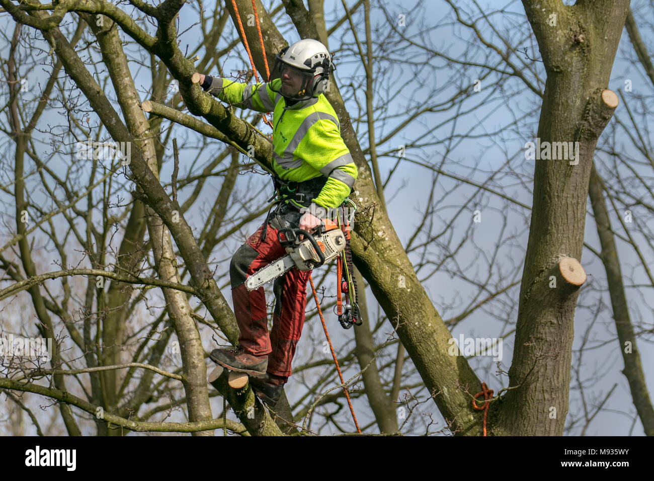 Crown reduction hi-res stock photography and images - Alamy