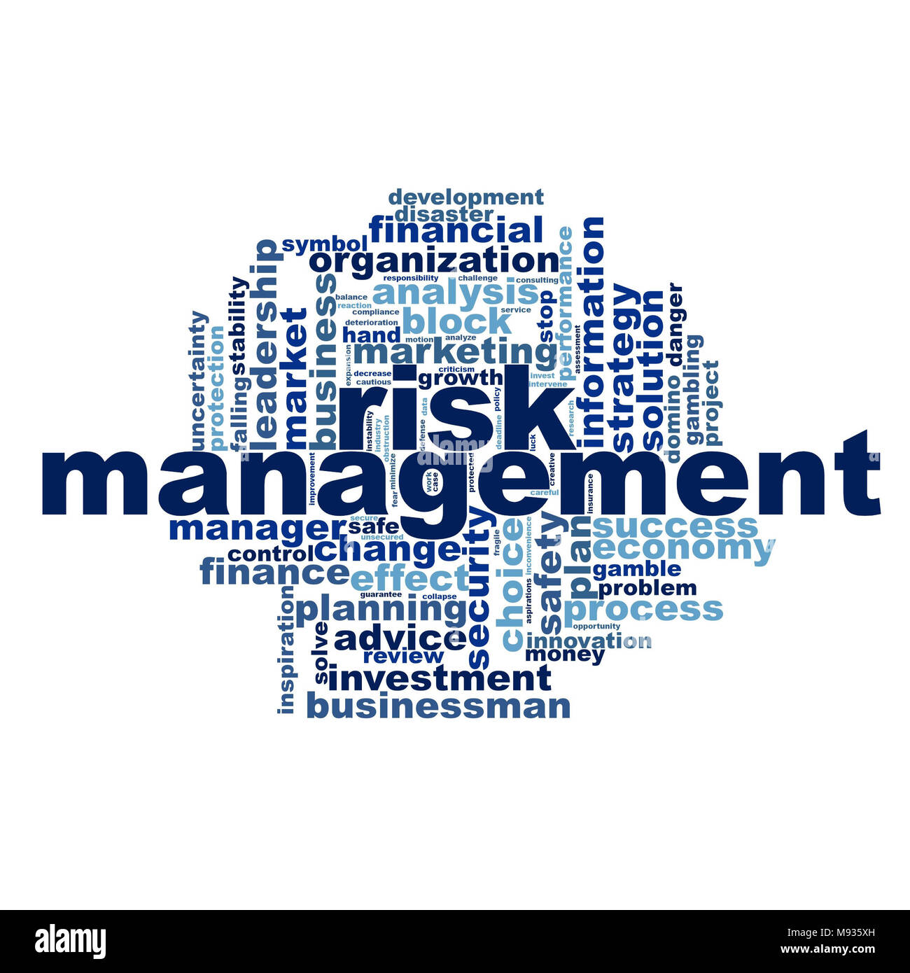 Risk management word cloud concept on white background, 3d rendering ...