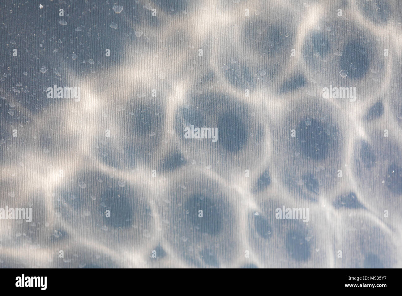Light microscope image hi-res stock photography and images - Alamy
