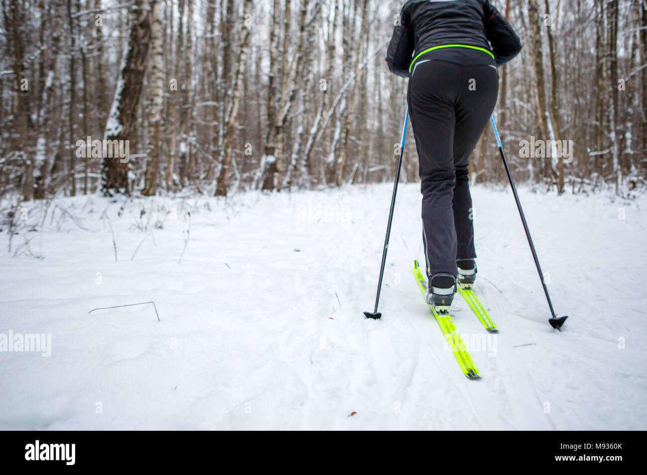 Image from back of skier with sticks Stock Photo - Alamy