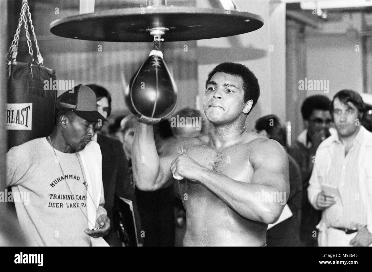Muhammad Ali training at Gleason's Gym in New York, for his World ...