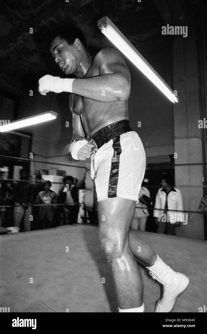 Muhammad Ali training at Gleason's Gym in New York, for his World ...